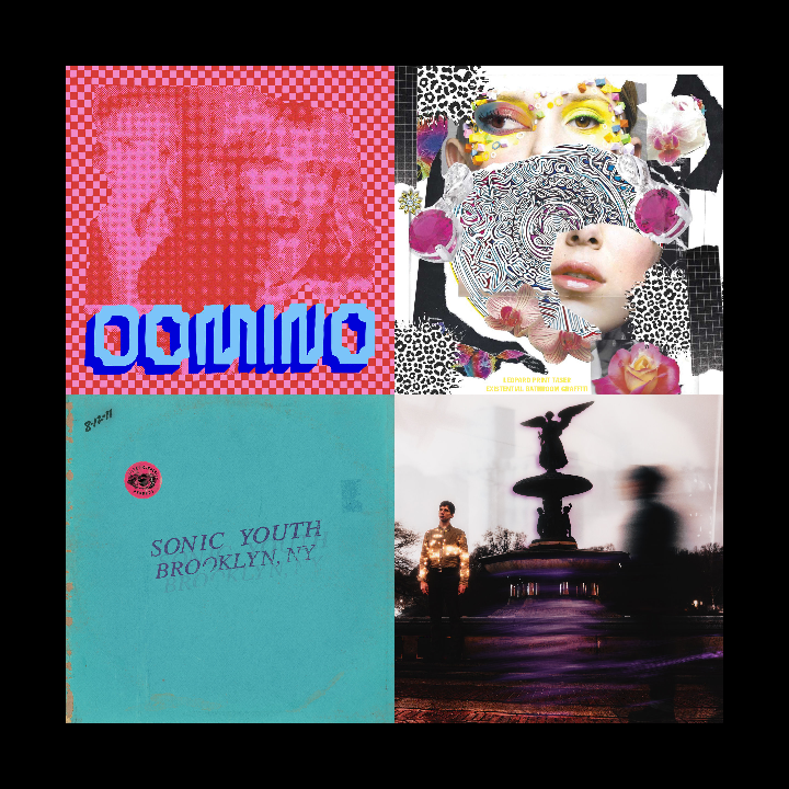 Pressing Concerns: Diners, Sonic Youth, Leopard Print Taser, Big Bliss ...