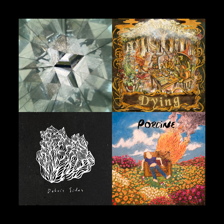 Pressing Concerns: Slake/Thirst, Old Amica, The Narcotix, Porcine ...